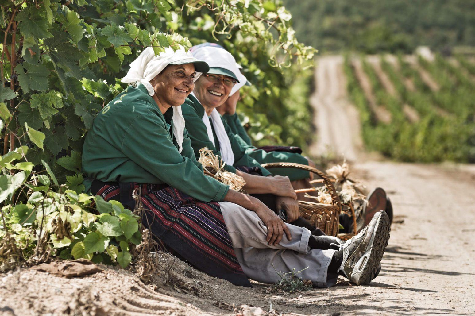 Tikveš Winery – Tikveš Winery