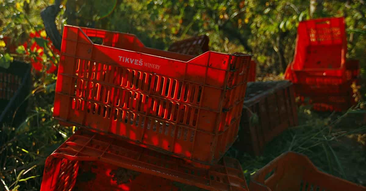 Mission – Tikveš Winery