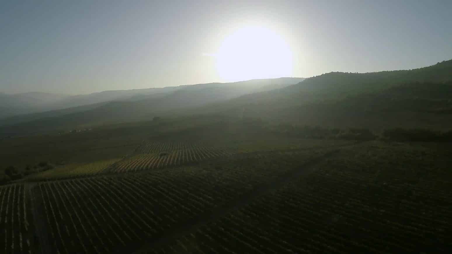 Tikveš Winery – Tikveš Winery